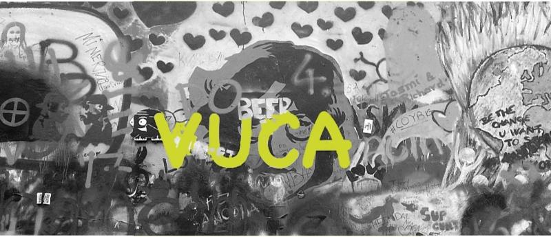 Act VUCA ~ Think and act VUCA in a VUCA-WORLD